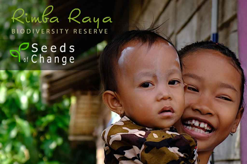 Field Notes | Rimba Raya